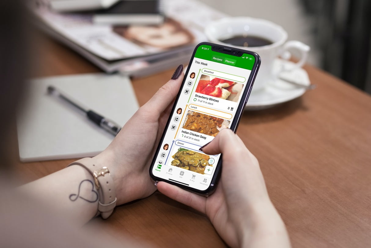 CozZo app in LOWINFOOD: How to scientifically assess the usefulness of ...
